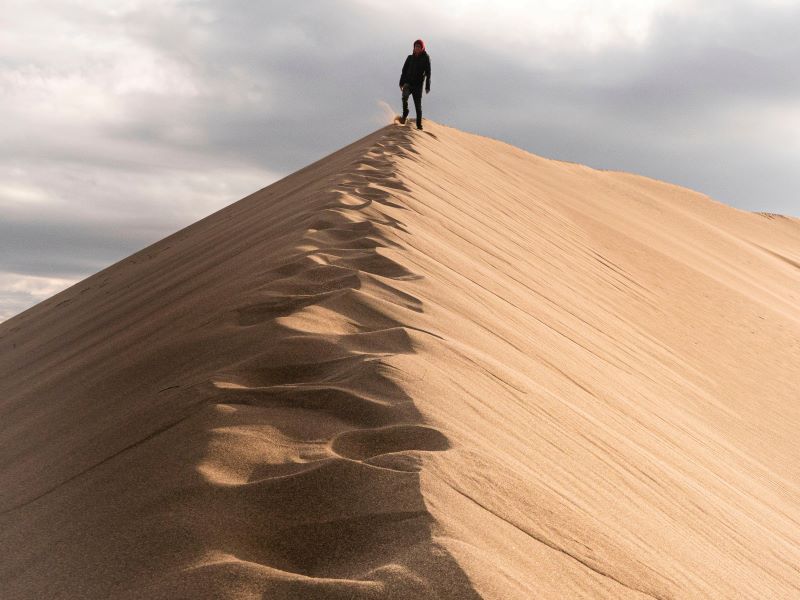 Developing an explorer mindset to build resilience | THE Campus Learn ...