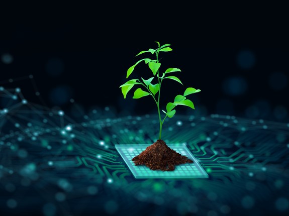 The dos and don’ts of creating a large-scale sustainability module ...