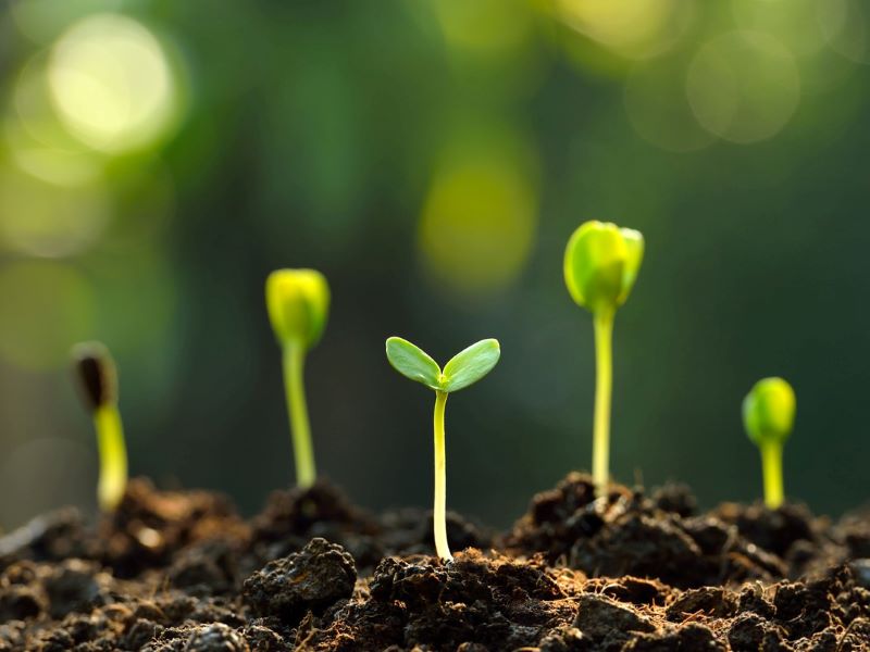 Why we need ecological universities | THE Campus Learn, Share, Connect