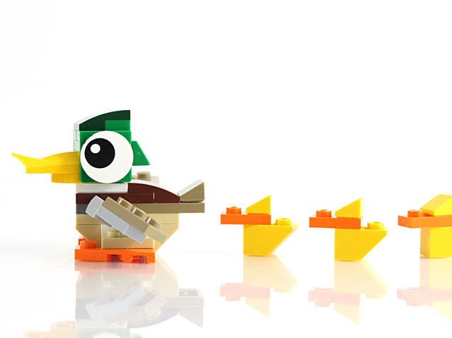 Why getting a PhD is like building a Lego duck| THE Campus Learn, Share ...