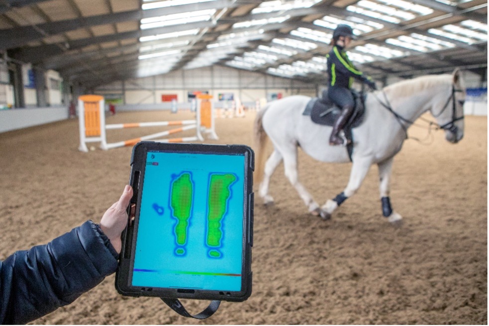 How to use technology to make equine education inclusive