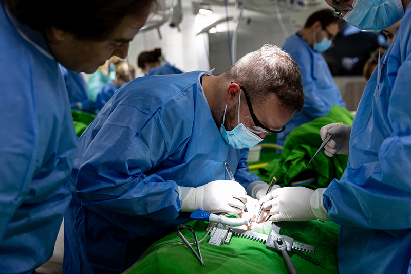 How to train world-champion cardiologists | THE Campus Learn, Share ...