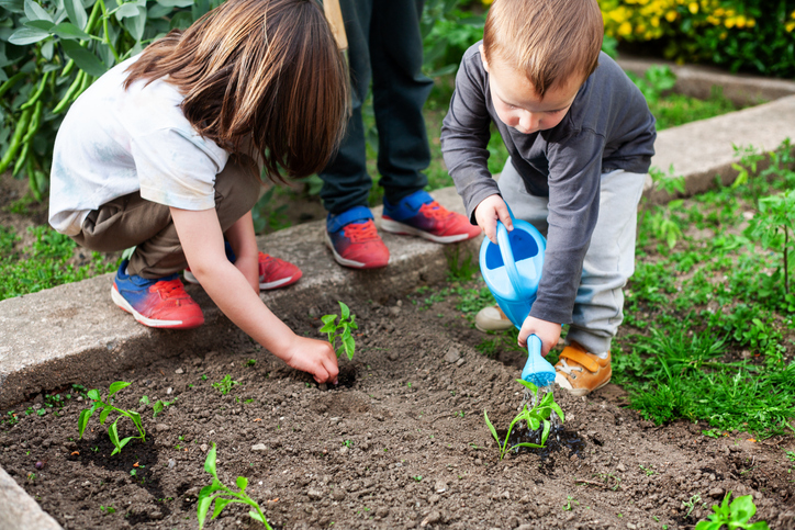 Plant the seeds for a rewarding balance between family and academia ...