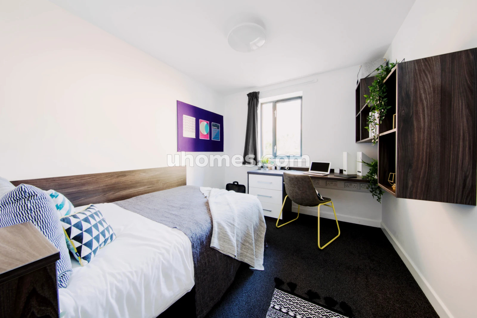 Navigating Student Accommodation: Liverpool vs Manchester vs Glasgow ...