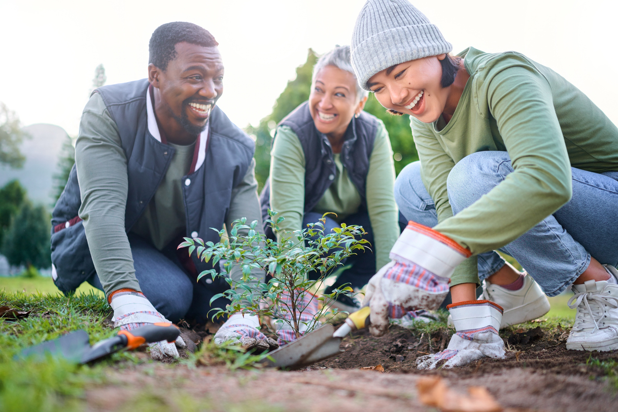 The keys to strong university–non-profit partnerships | THE Campus ...