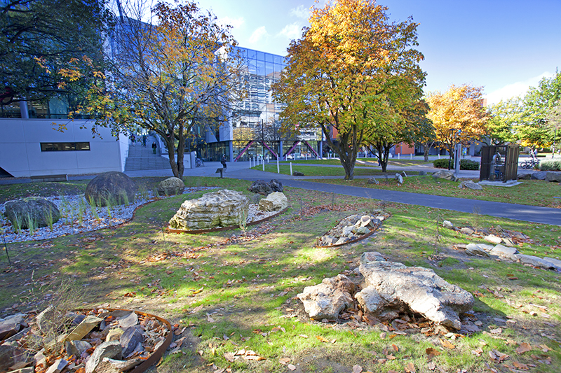 How a campus garden is tackling declining 3D spatial skills in ...